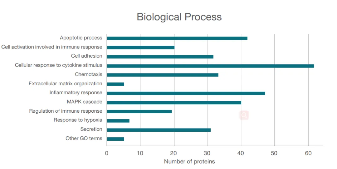 Olink Target 96 Inflammation Panel：炎症研究的精准蛋白检测工具