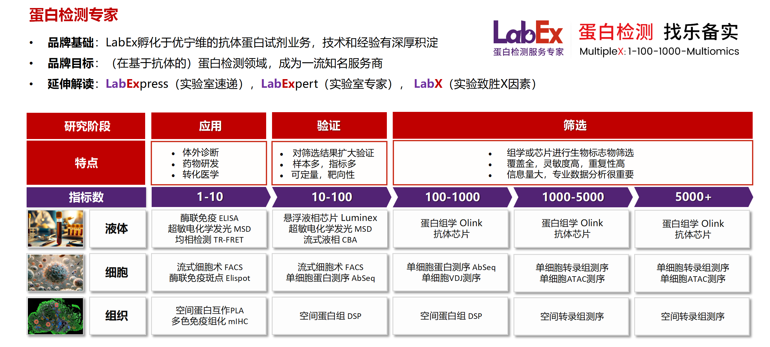 微流控 PCR 芯片：从技术整合到场景落地的基因检测革新
